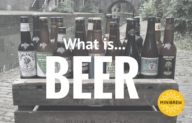 MiniBrew | Everything related to the fully automatic brewing machine ...