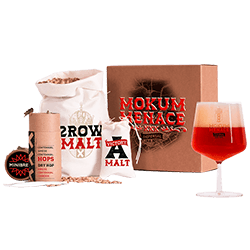 Minibrew - Fully Automatic Beer Brewing Machine | MiniBrew